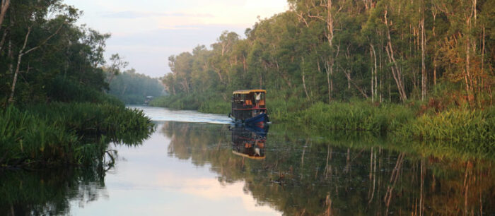 Taman Nasional Tanjung Puting : Petualangan Alam Konservasi