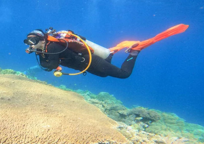 Paket Wisata Open Trip 2025 - Tournesia